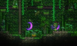Mage in Terraria - Terraria-Game.com