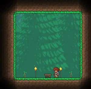 Maps - Terraria-Game.com